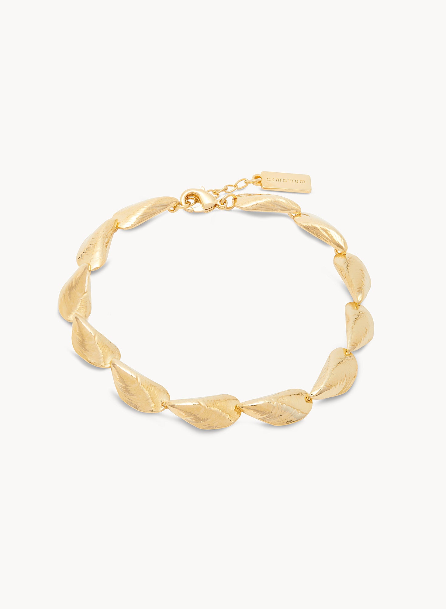 Mini mussel shell ankle bracelet – ARMARIUM