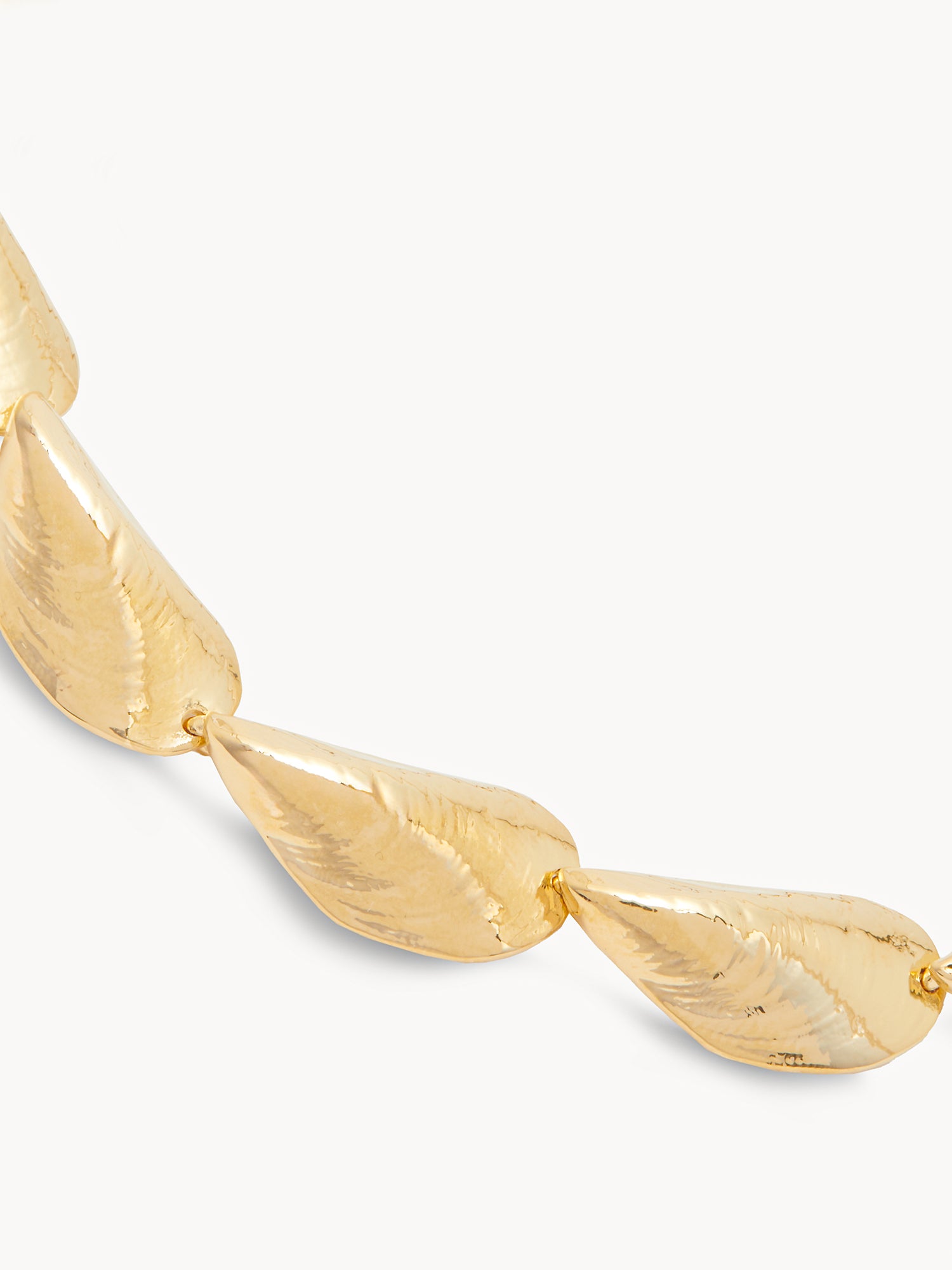 Mini mussel shell ankle bracelet – ARMARIUM